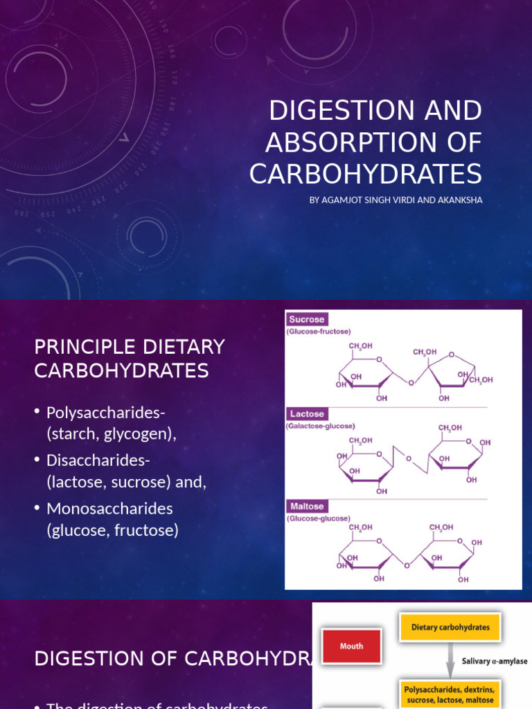 Carbohydrate Digestion and Absorption | PDF | Digestion | Carbohydrates
