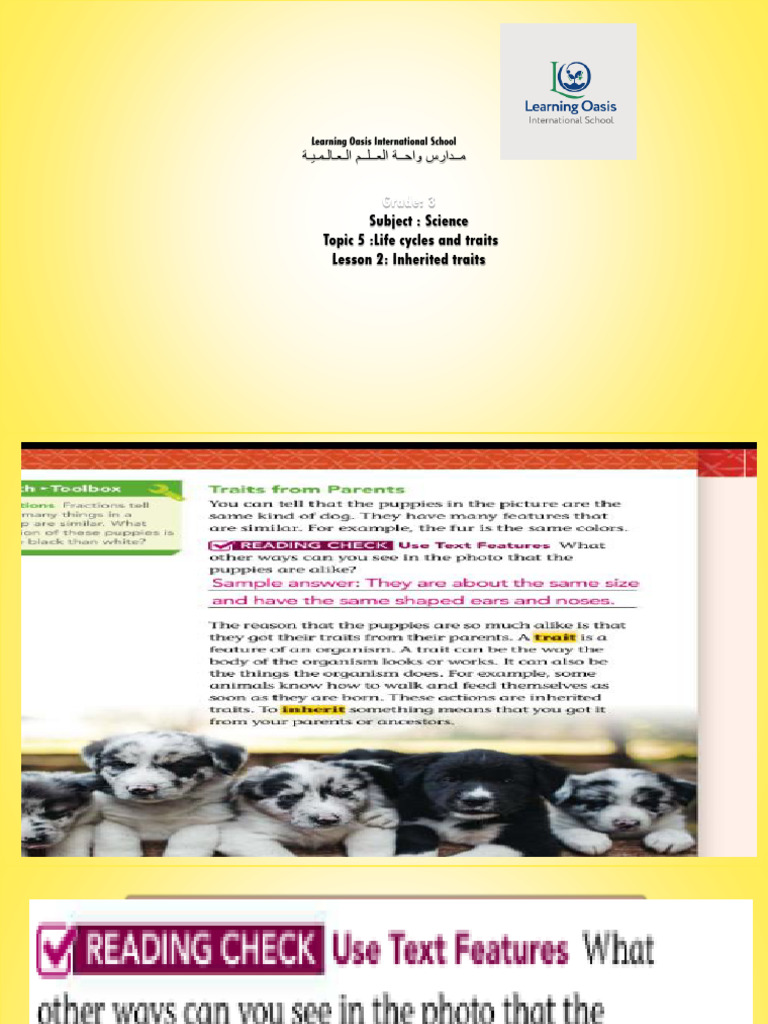 Topic 5 Lesson 2 Underline and Model Answers | PDF