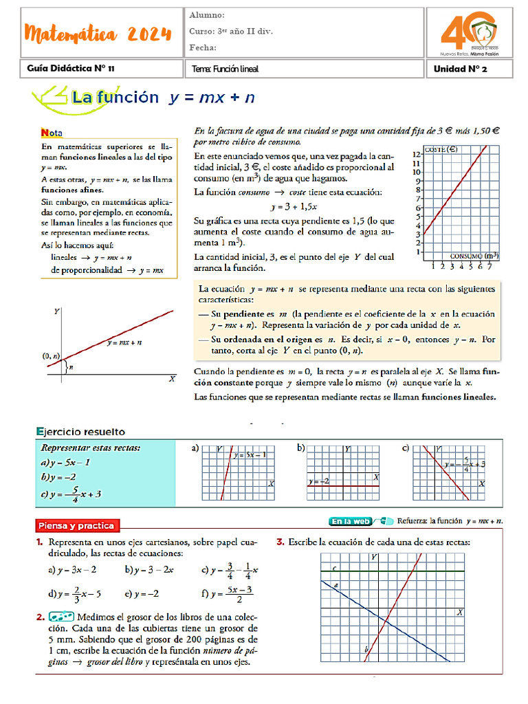3er An o - Guia Didactica N11 - Funcion Lineal | PDF