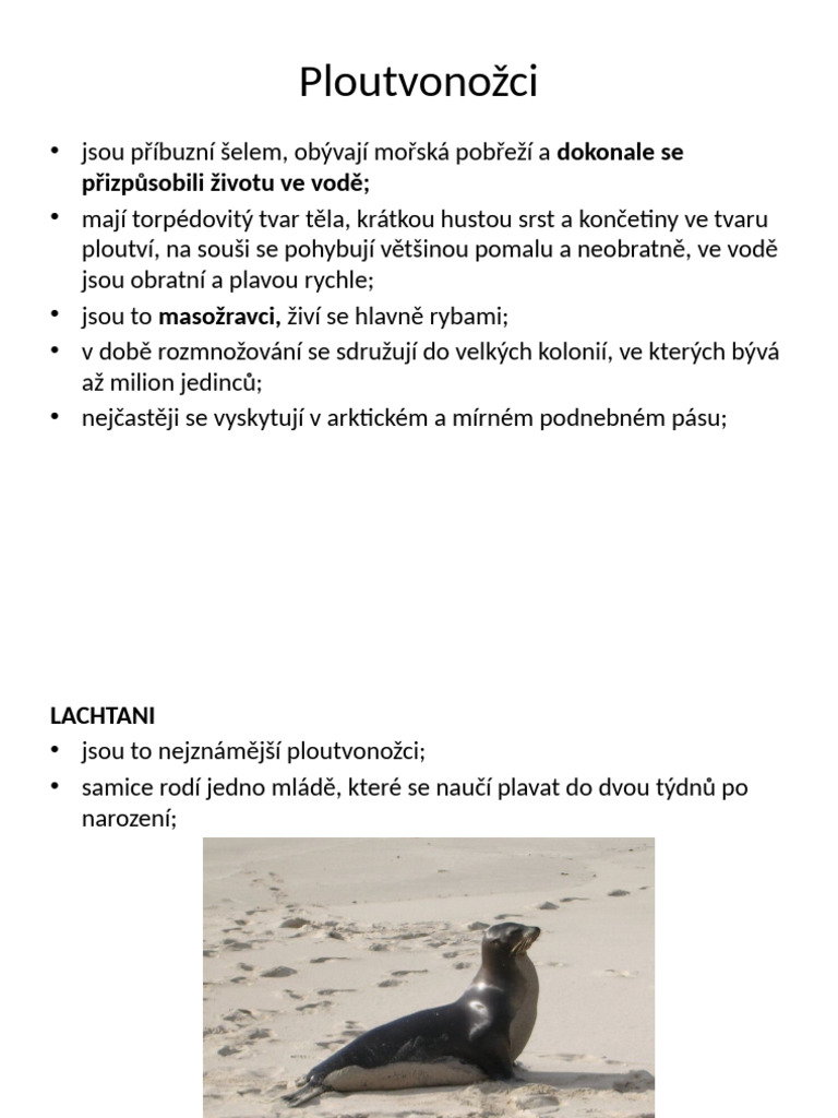 Savci - Ploutvonozci - Kytovci - Chobotnatci | PDF