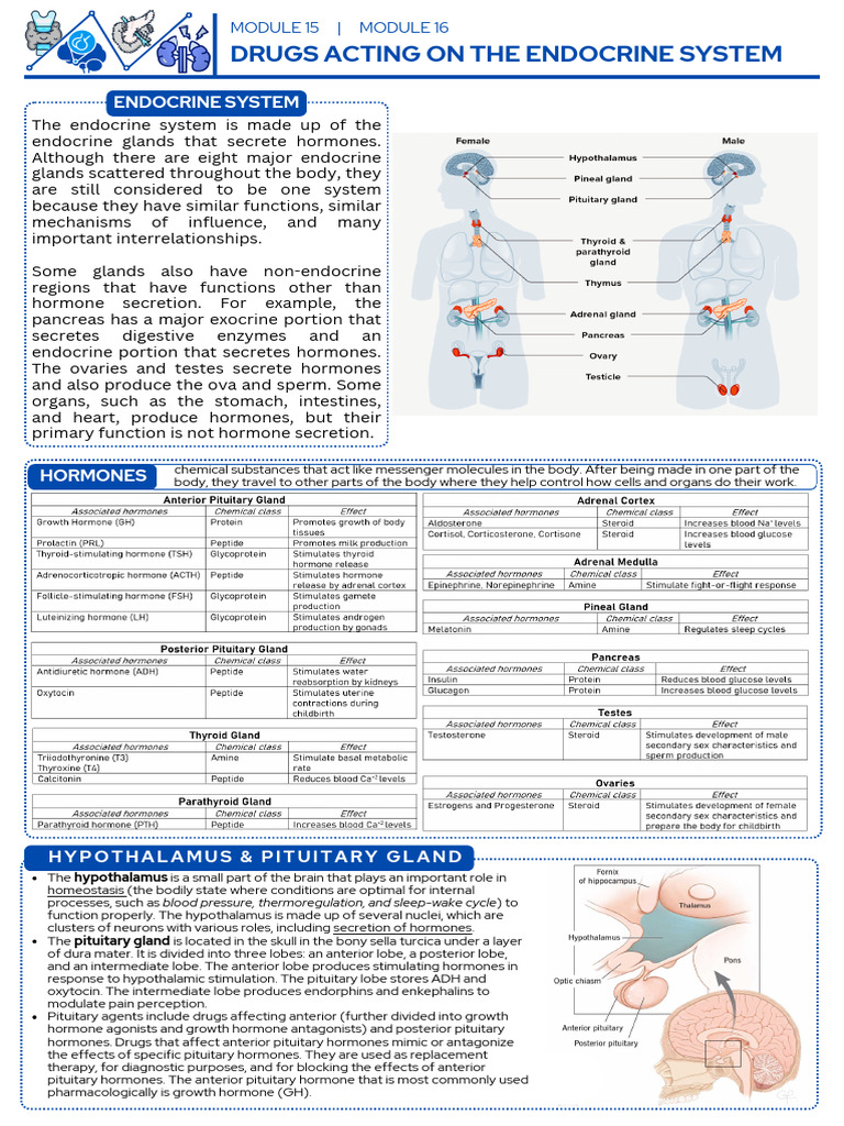 ENDOCRINE DRUGS (1) | PDF | Growth Hormone | Adrenocorticotropic Hormone