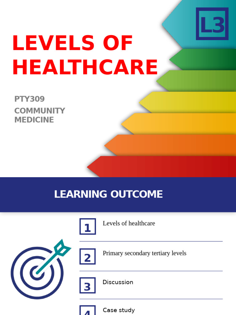 L3 Levels in Healthcare | PDF