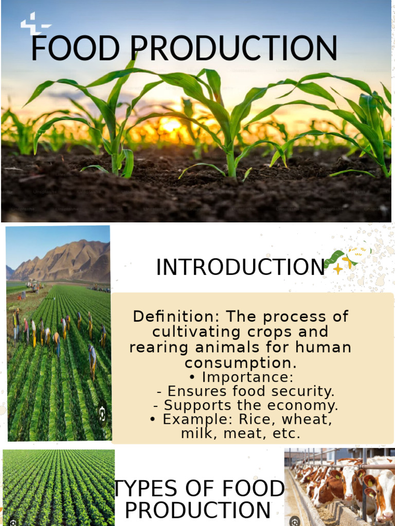 Food Production | PDF | Agriculture | Organic Farming