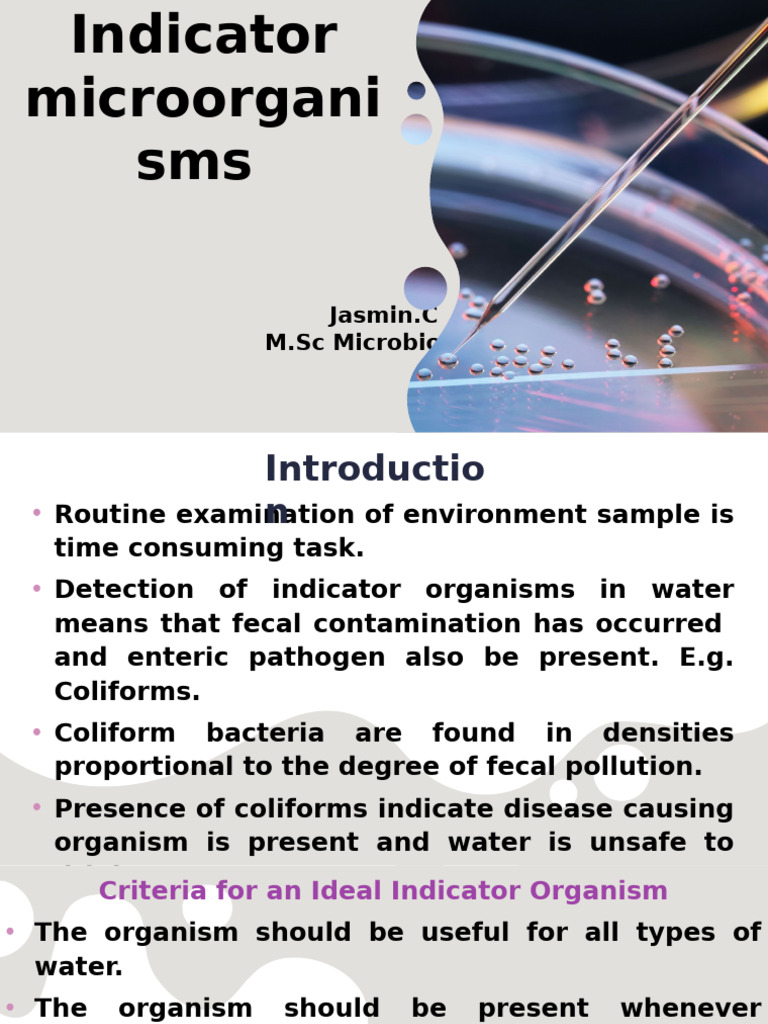 Indicator Organism | PDF | Streptococcus | Escherichia Coli