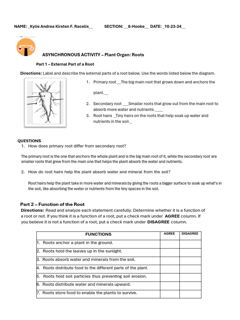 Asynchronous Act. Oct. 23 2024 | PDF | Root | Soil