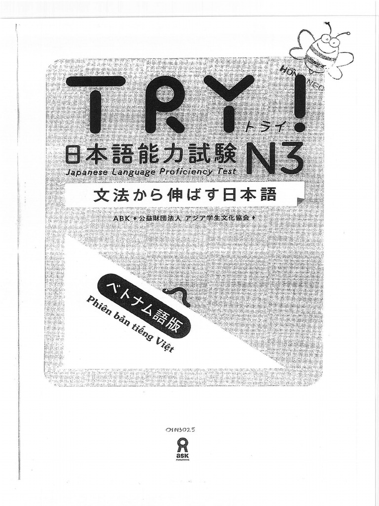 N3 Try | PDF