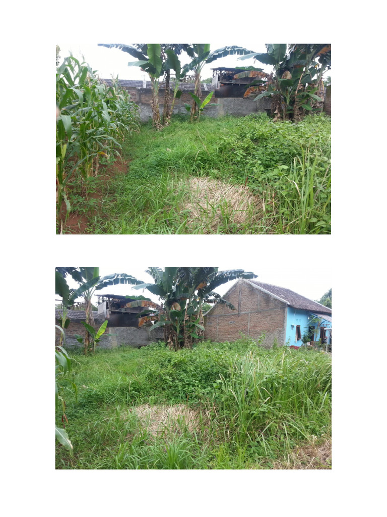 Foto Objek Tanah | PDF