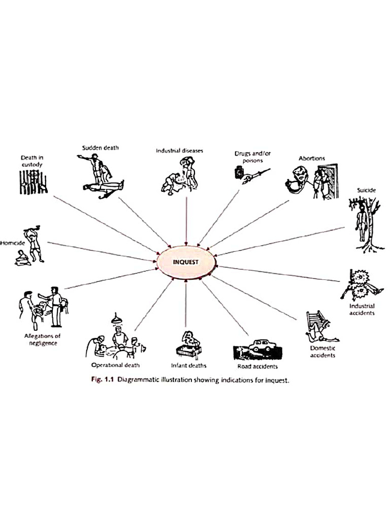 L2_Types of Inquest and Medical Evidence | PDF