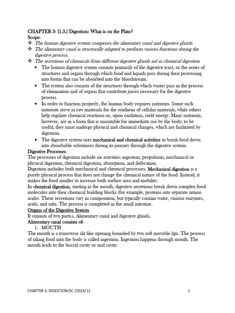 3.what Is On The Plate (DIGESTION) | PDF | Digestion | Stomach