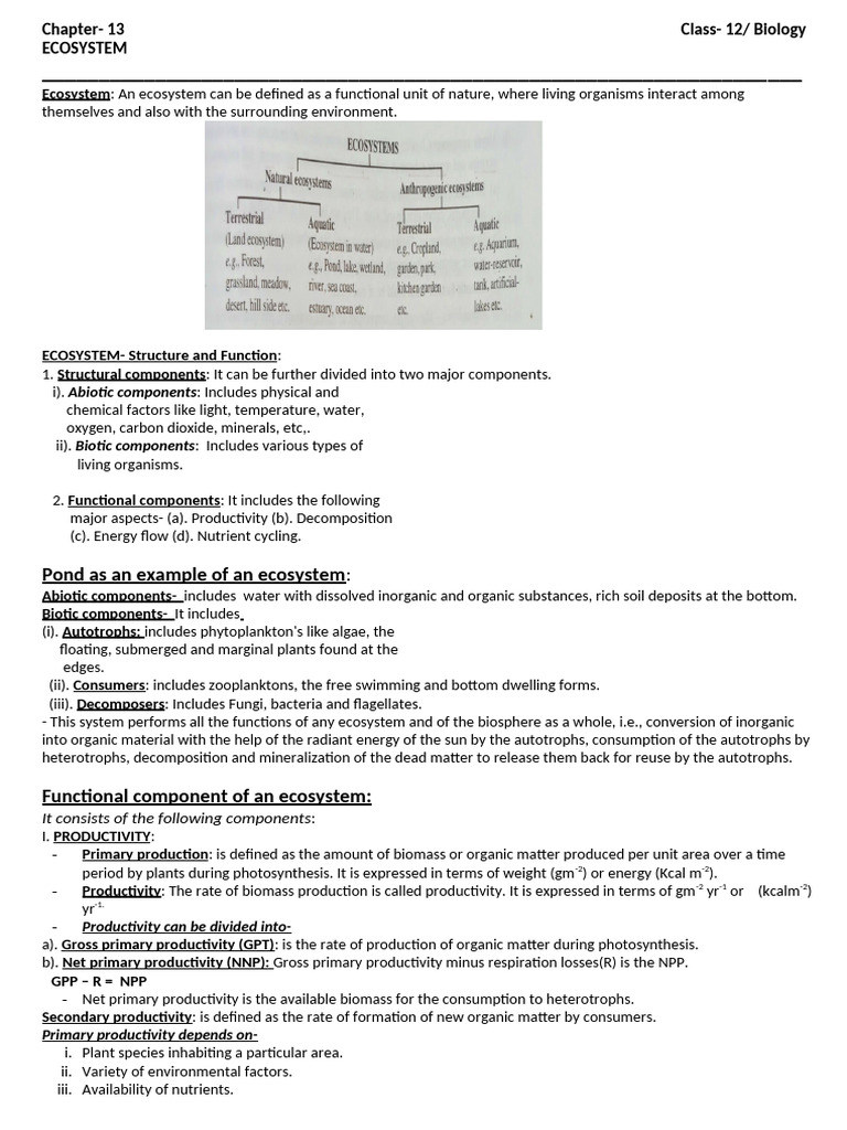 Ecosystem Pdf Food Web Primary Production