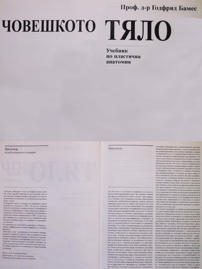 Human Anatomy Bames | PDF