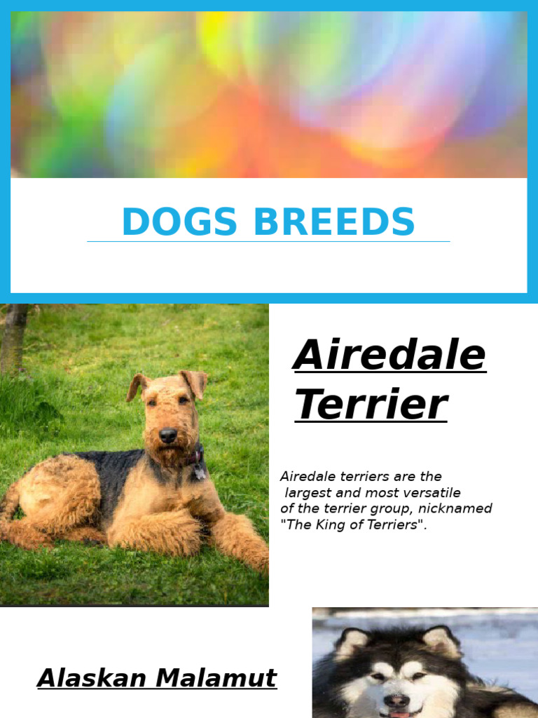 dog breeds | PDF | Dog Breeds | German Shepherd