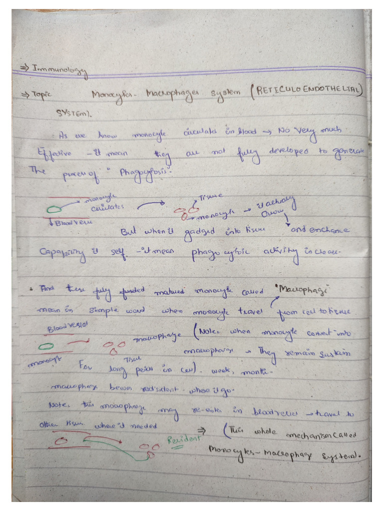 Immunology Exam Notes | PDF