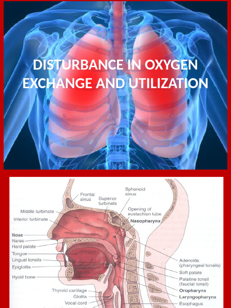 Obstructive Disorders | PDF | Chronic Obstructive Pulmonary Disease ...