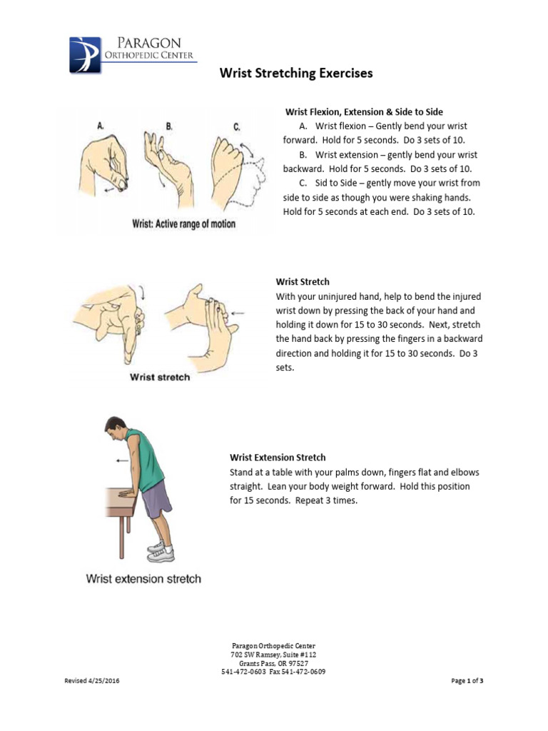 Effective Wrist Stretching Exercises | PDF | Anatomical Terms Of Motion ...