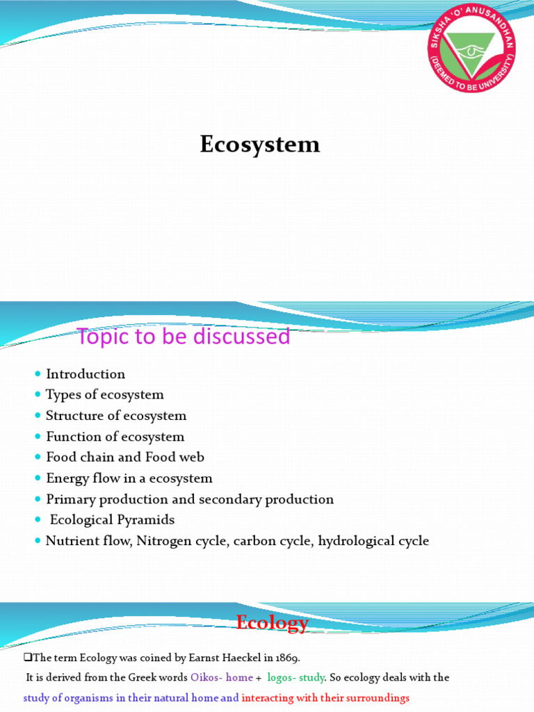 Ecosystem_1 | PDF | Ecosystem | Primary Production