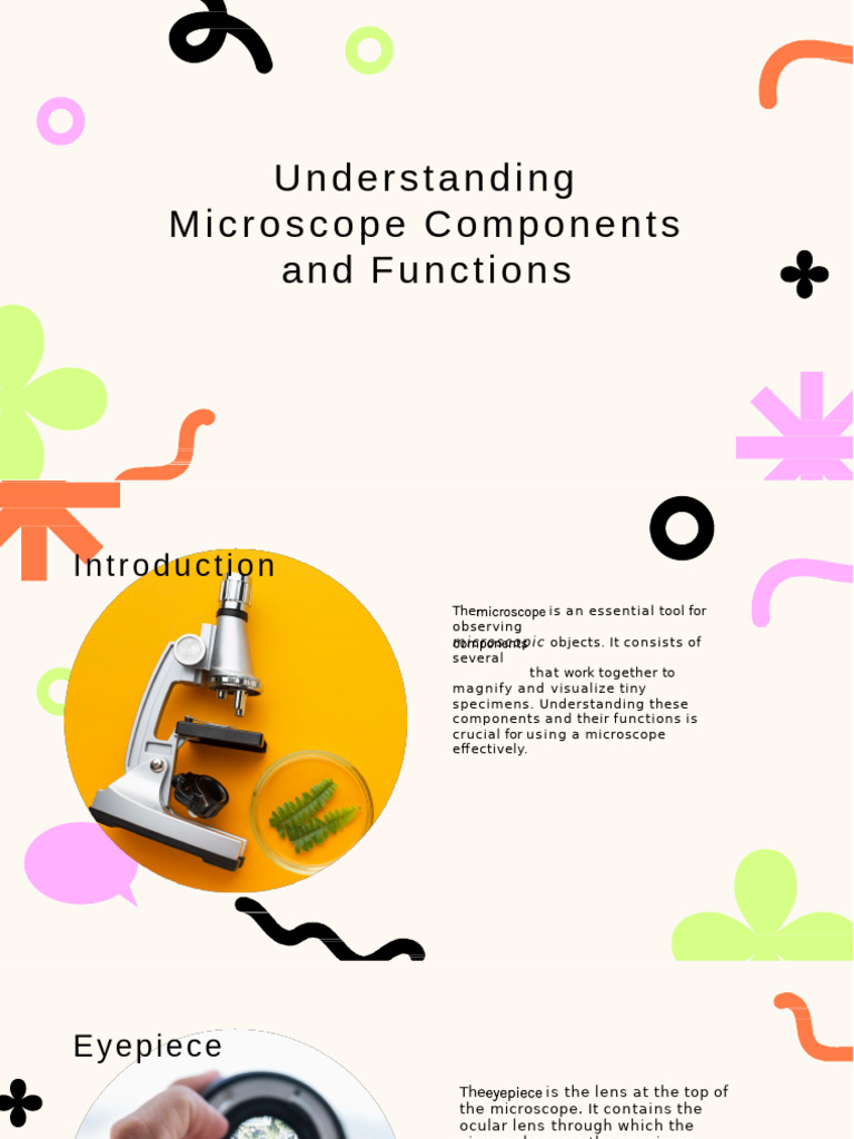 understanding-microscope-components-and-functions-20240501021611BRQg | PDF | Imaging | Vision