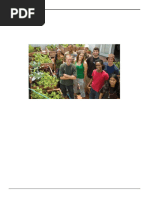 BRE Digest 251: Damage Assessment Guide | PDF | Fracture | Soil