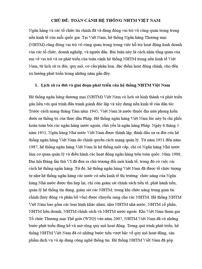 Toàn cảnh hệ thống NHTM Việt Nam | PDF