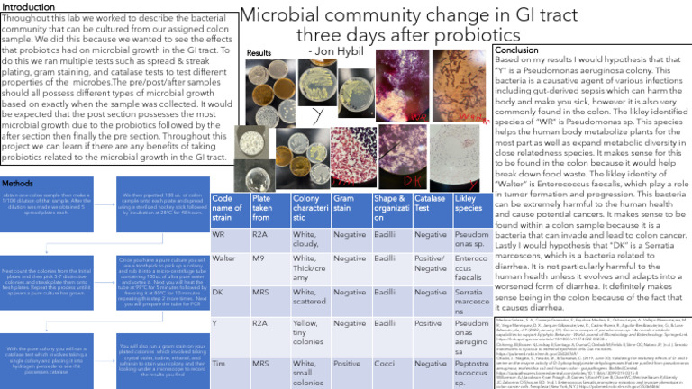 Colon poster project | PDF | Pseudomonas | Probiotic