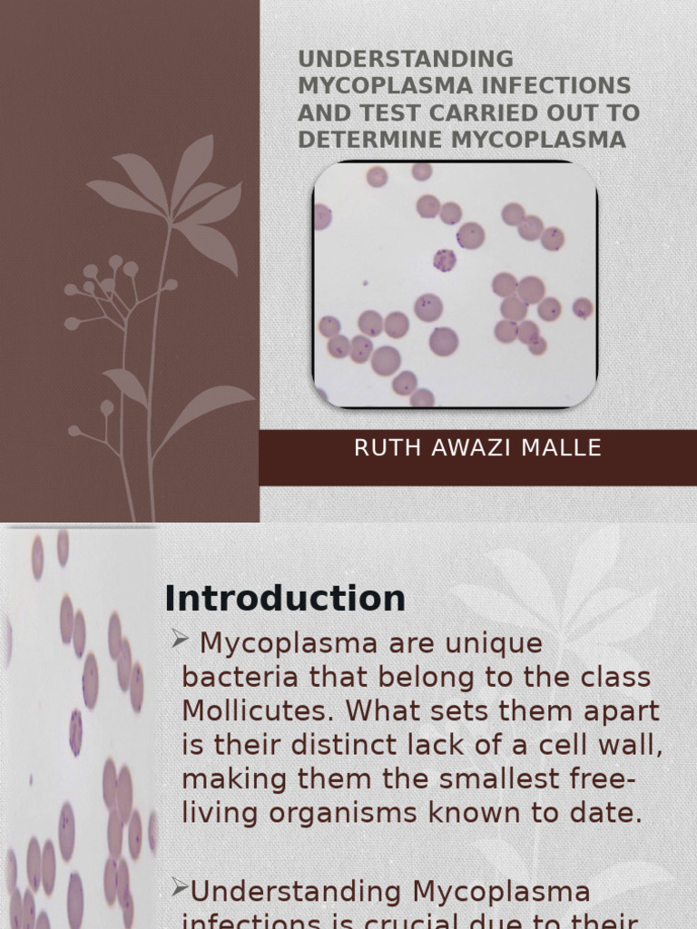 Understanding Mycoplasma Infections and Test Carried | PDF | Mycoplasma ...