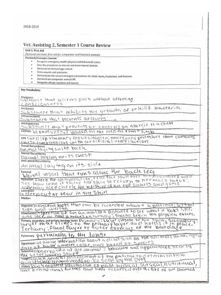 Vet Review Day One | PDF