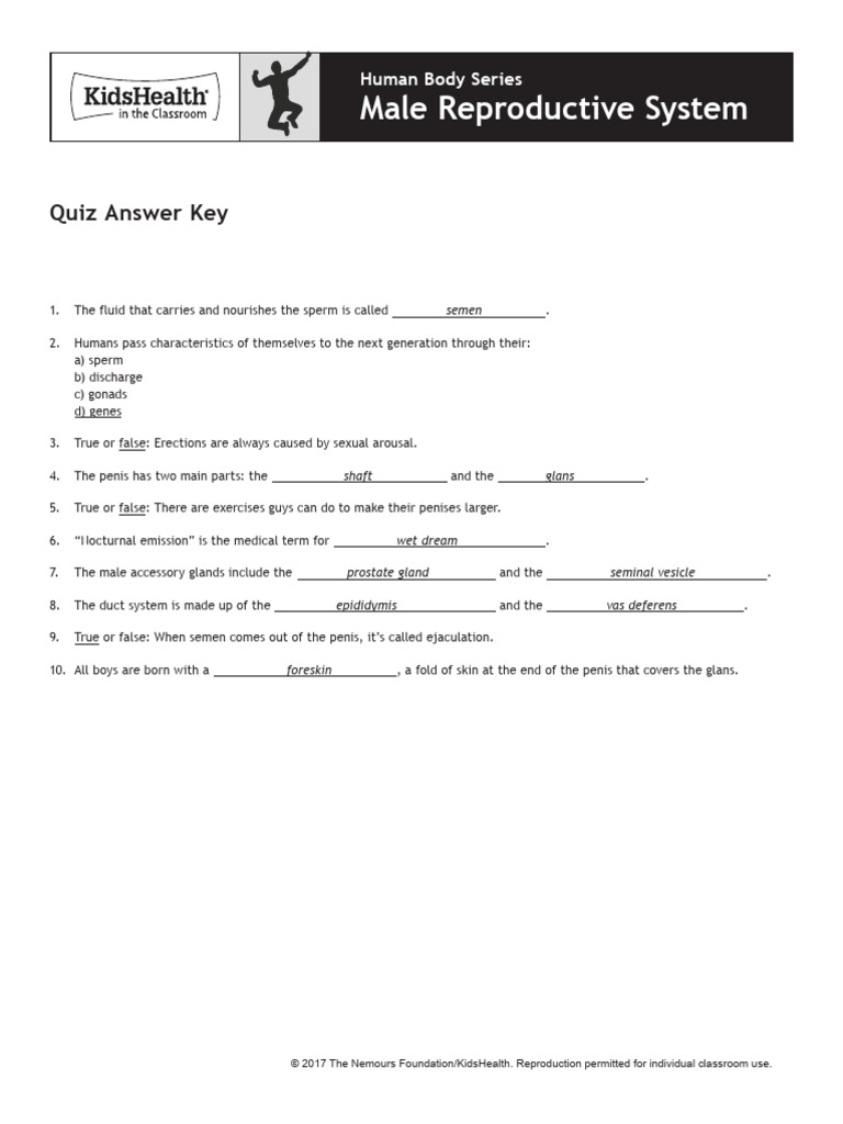 Male - Reproductive - Quiz - Answers 6 | PDF