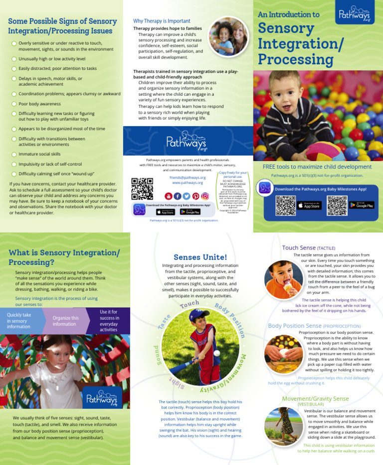 SensoryBrochure English LEGAL FOR-PRINT 2024 | PDF | Senses ...