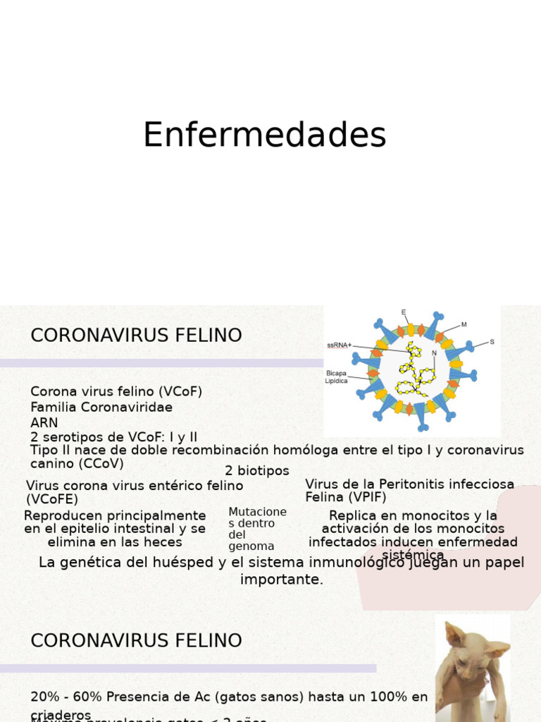 Subir 2 | PDF | Medicina CLINICA | Epidemiología