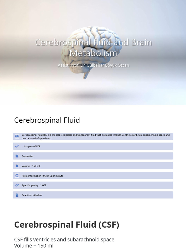 Cerebrospinal Fluid and Brain Metabolism 2 | PDF | Cerebrospinal Fluid | Physiology
