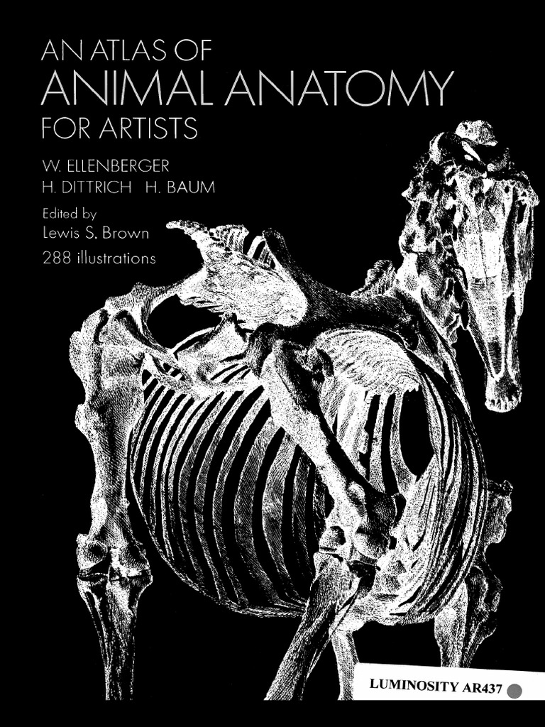 An Atlas of Animal Anatomy For Artists | PDF