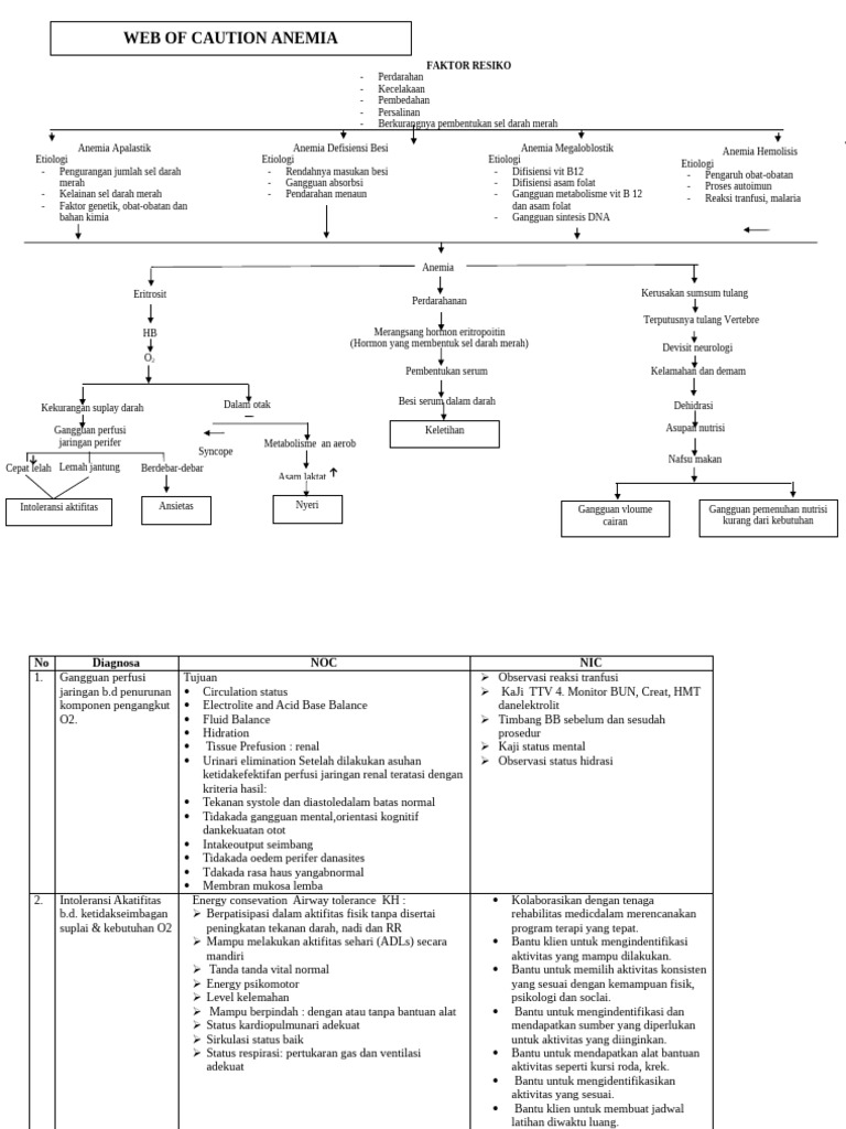 Woc Anak Anemia | PDF