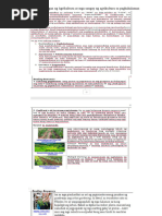 Ang Mangga | PDF