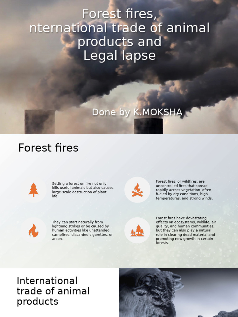 Presentation 8 (1) | PDF | Wildfire | Fires