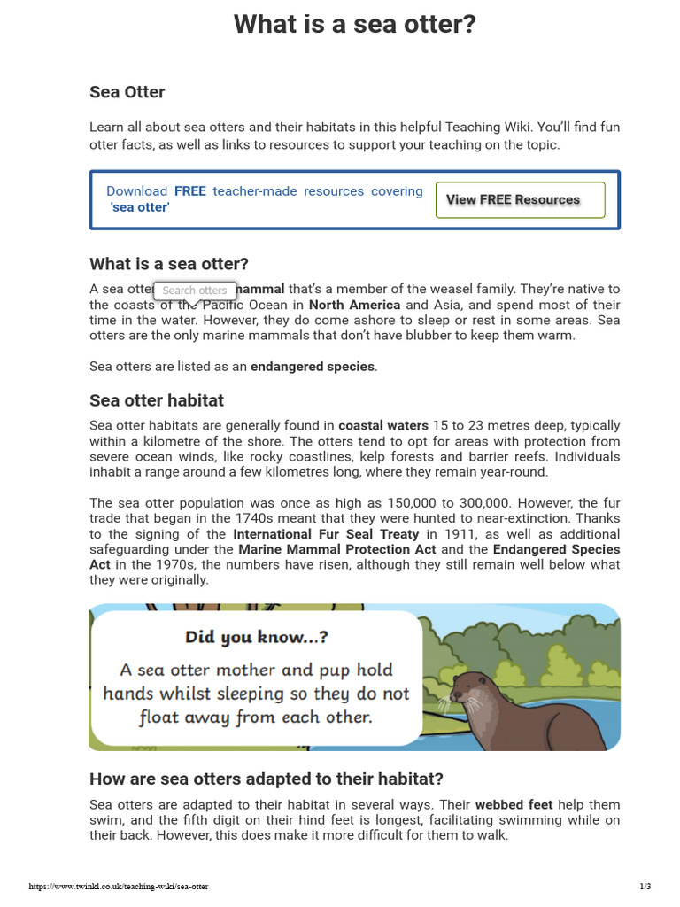 What Is A Sea Otter - Twinkl Teaching Wiki - Twinkl | PDF