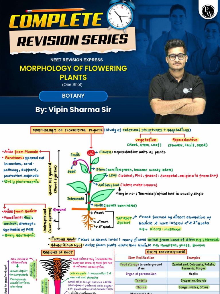 CH-5 Morphology of Flowering Plants | PDF