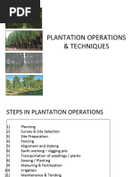 Soil Bund Construction Steps | PDF