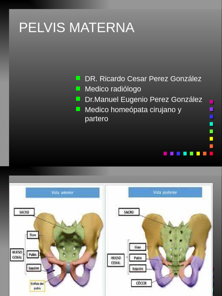 Dimensiones y Evaluación de la Pelvis Materna | PDF | Pelvis | Sistema ...
