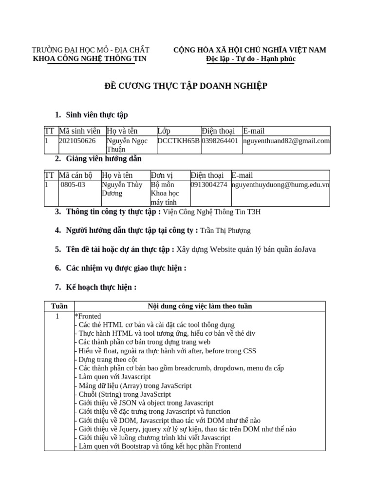 Đề cương TTDN LeHoangViet | PDF