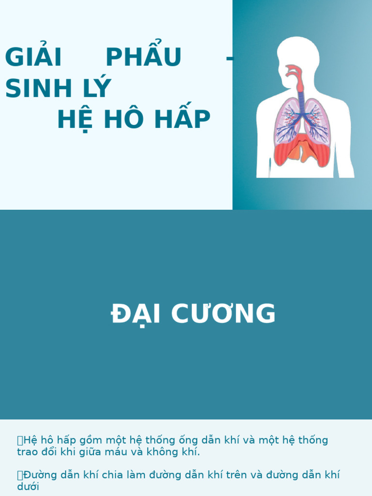Bản Sao GPSL HỆ HÔ HẤP | PDF