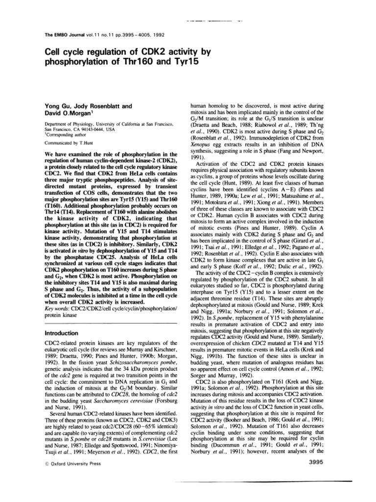 Cell Cycle Regulation of CDK2 Activity by Phosphorylation of THR 160 ...