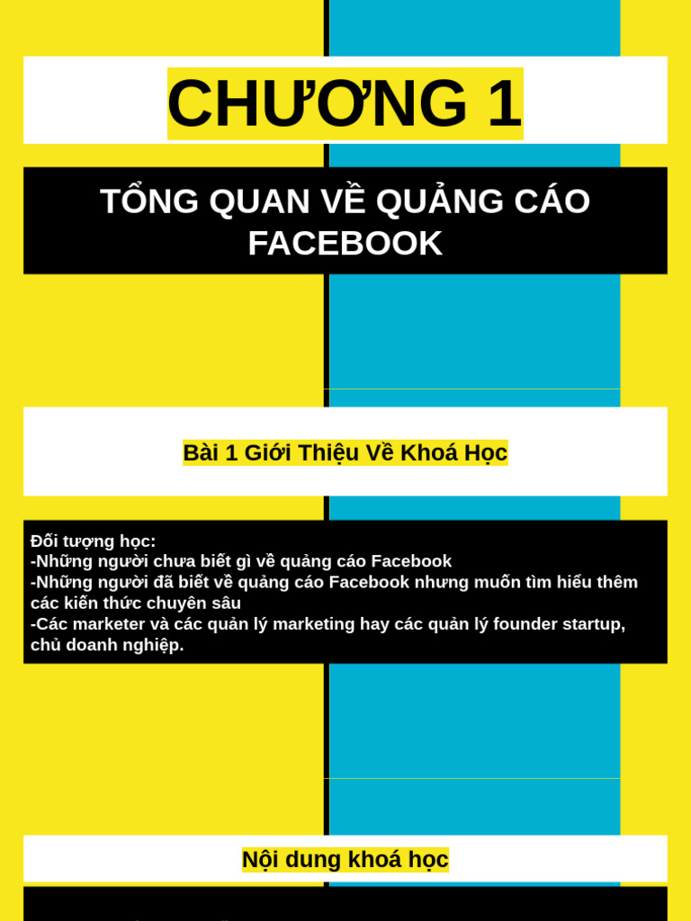 Facebook Vietnamese TM18 | PDF