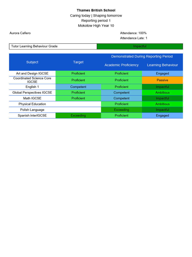 Reporting Period 1 (Year 5+) #16#C | PDF | Teachers | Learning
