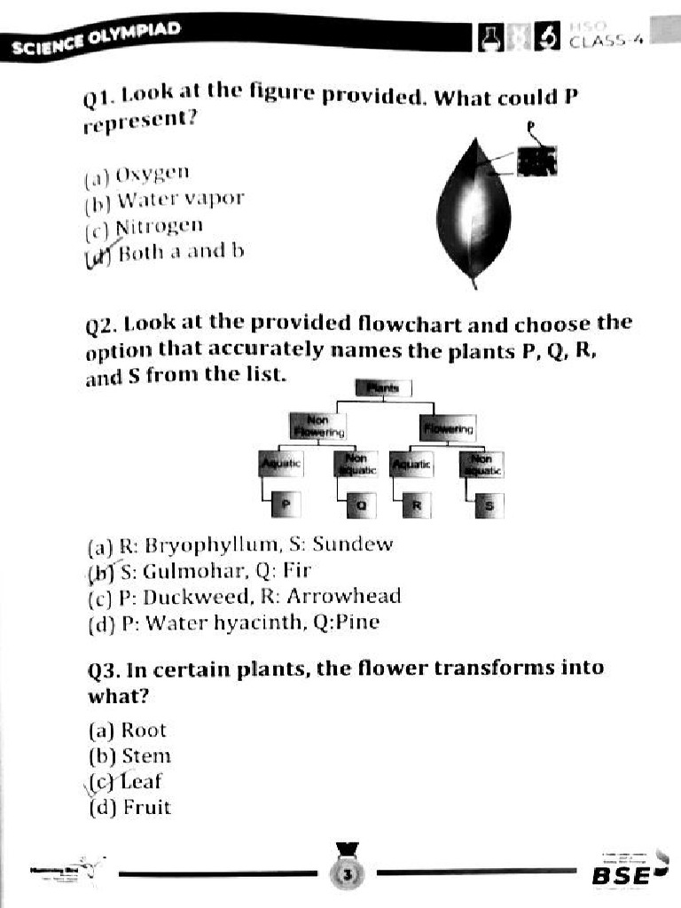 Hummingbird Olympiad Class 4 (Science & GK) | PDF