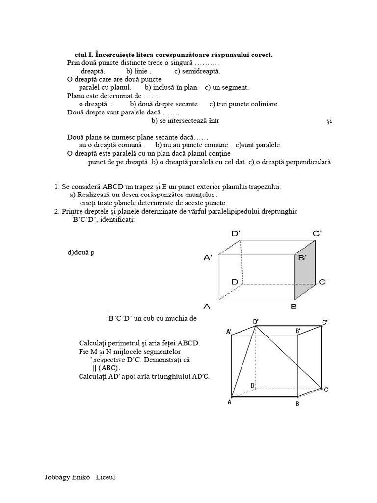 Puncte Drepte Plane - Cls VIII - Test de Evaluare Formativa | PDF