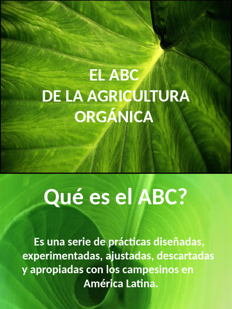 El ABC Completo | PDF | Campesino | Agricultura