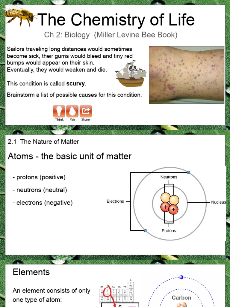 02 The Chemistry of Life | PDF | Water | Chemical Bond