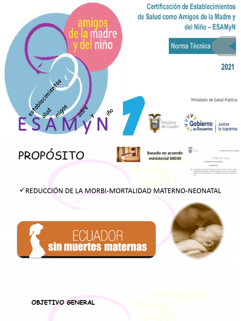 PRESENTACION NORMATIVA ESAMyN - 2021 | PDF | Amamantamiento | Parto