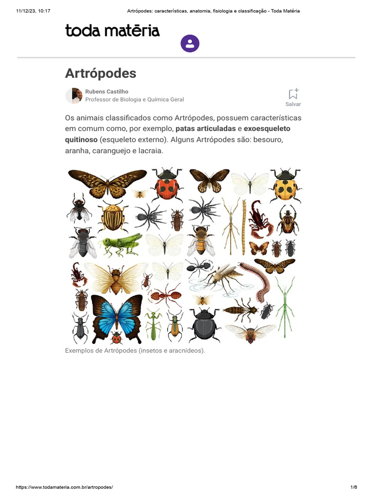 Características e Classificação dos Artrópodes | PDF | Insetos | Crustáceo