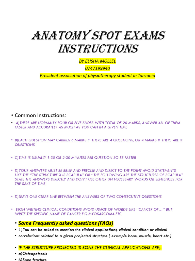 Anatomy Spot Exams Instructions | PDF